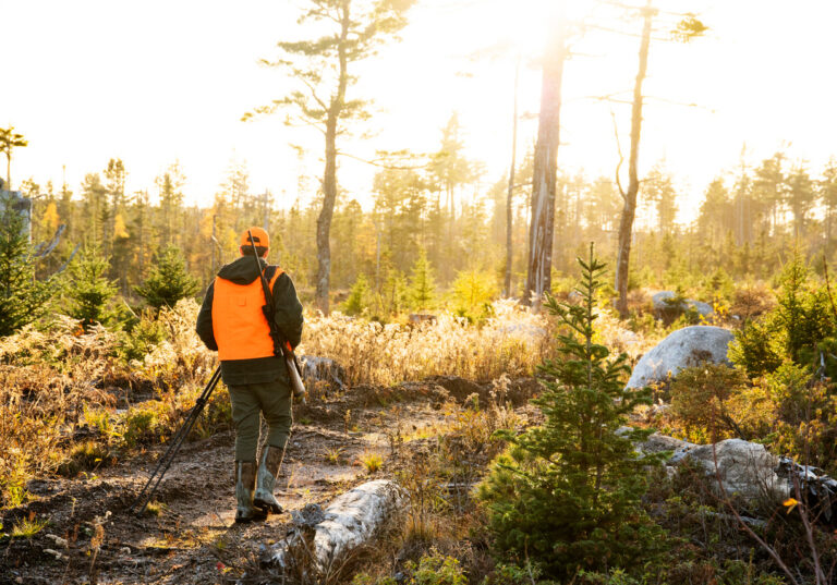 Being a Hunter: Principles, Practices, and Responsibilities